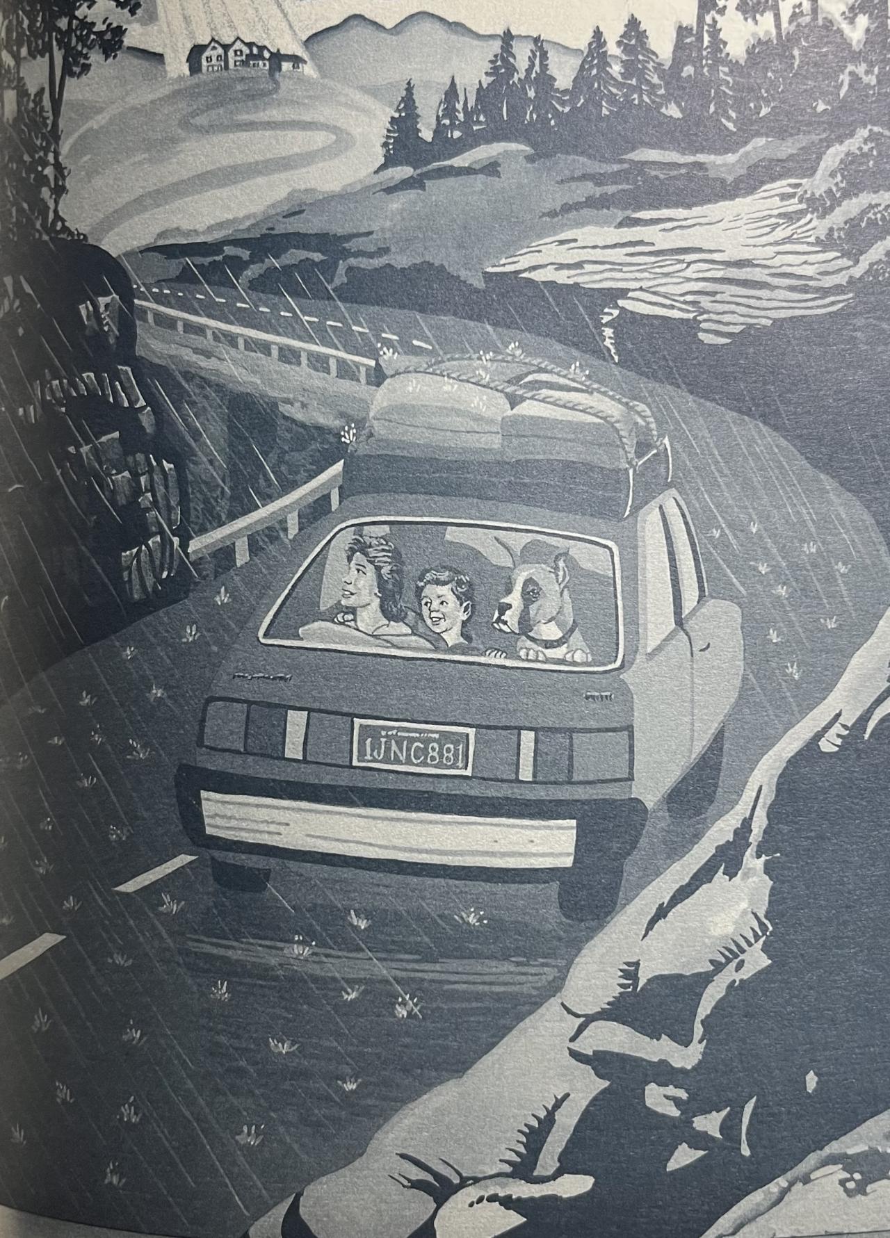 Arnold David Clapman - Published Work Childrens' BooksColor And Learn ...